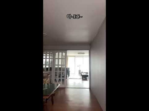 시각 디자인과 특 - #쇼츠저장소 - cafenono